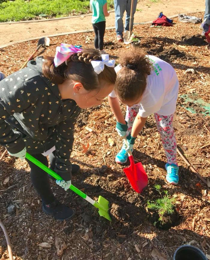 Tree Planting Patch Program® from Youth Squad® - Youth Squad